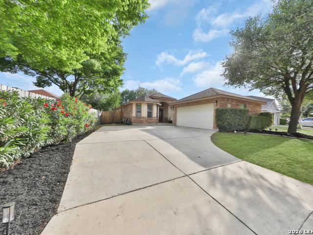 10018 Amberg Path