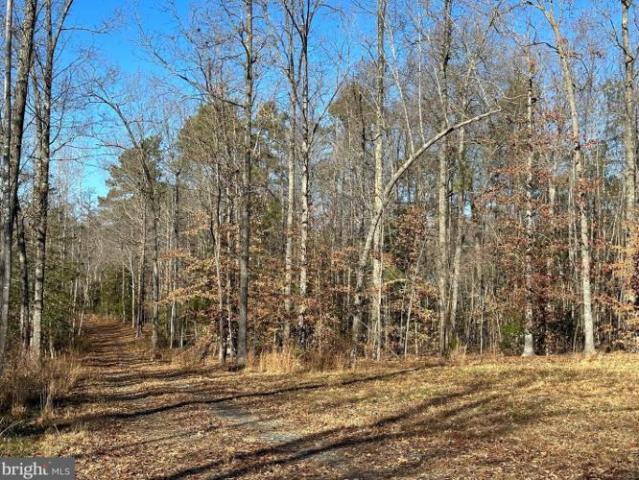 10019 Woodford Rd, Woodford, VA 22580