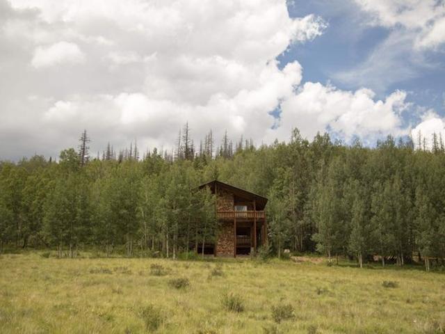 1001 County Road 17 Garita Unit La, Lake City, CO 81235