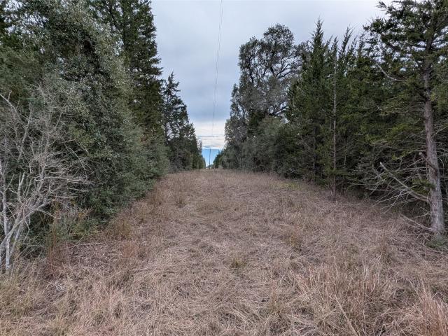 1001 County Road 126
