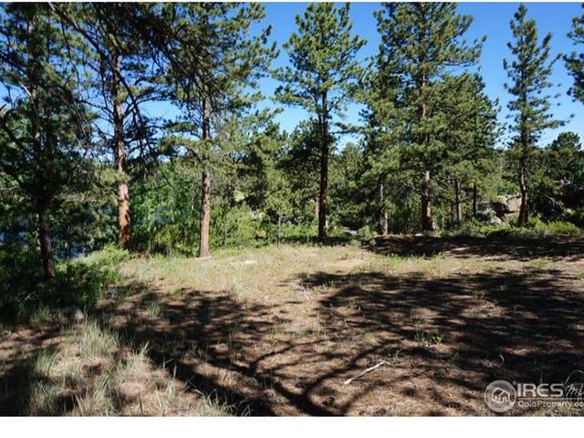 1001 Fox Acres Dr E, Red Feather Lakes, CO 80545 | MLS #1055