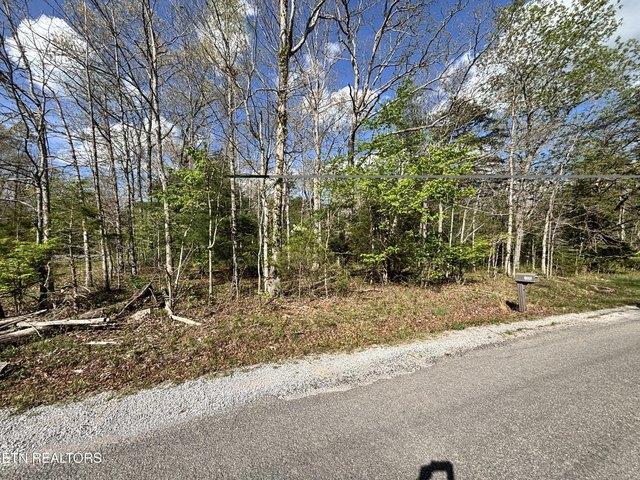 1001 Geronimo Ln, Crossville, TN 38572