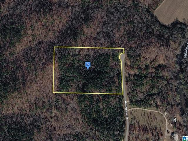 1001 Hutchinson Rd, Alexander City, AL 35010