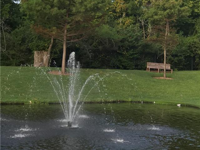 1001 Krenek Tap Road 1504