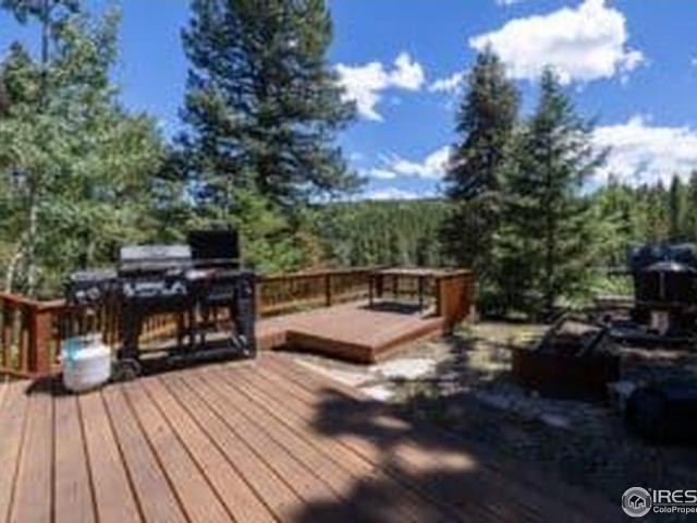1001 Pactolus Lake Rd, Black Hawk, CO 80422 | MLS #1051
