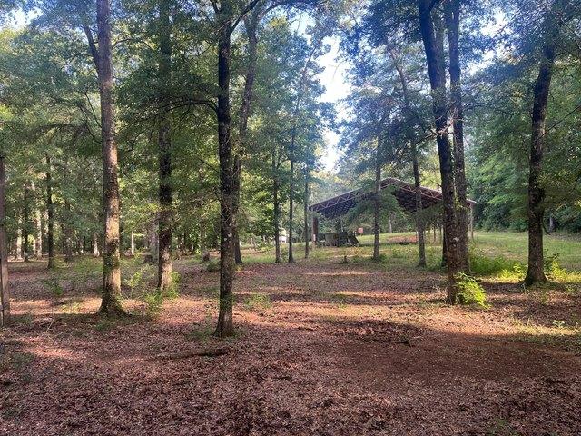 1001 Rose Hill Rd, Nauvoo, AL 35578