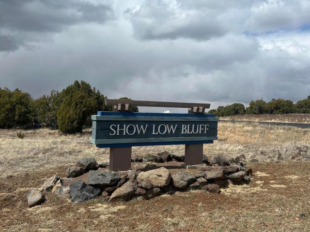 1001 S Ridgeway Pl, Unit 111, Show Low, AZ 85901 | MLS #6901 | Compass
