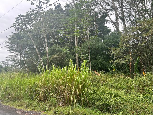 1001 14th Ave, Keaau, HI 96749 | MLS #723949