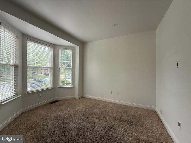 10026 Edgewater Terrace