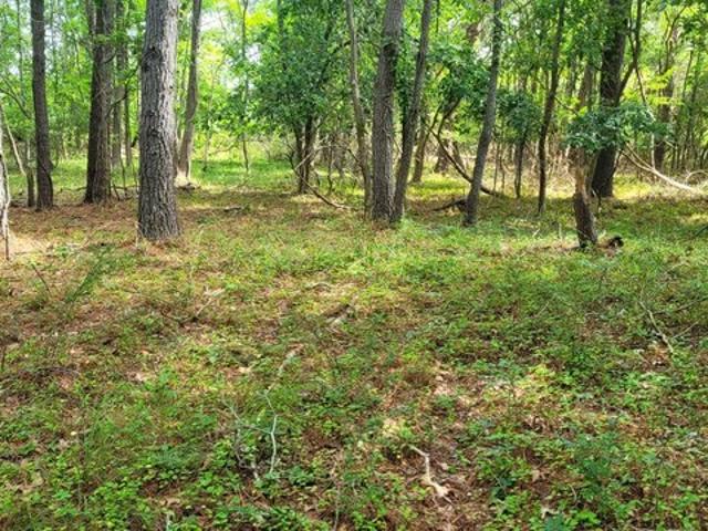 10028 N School Rd, Deal Island, MD 21821
