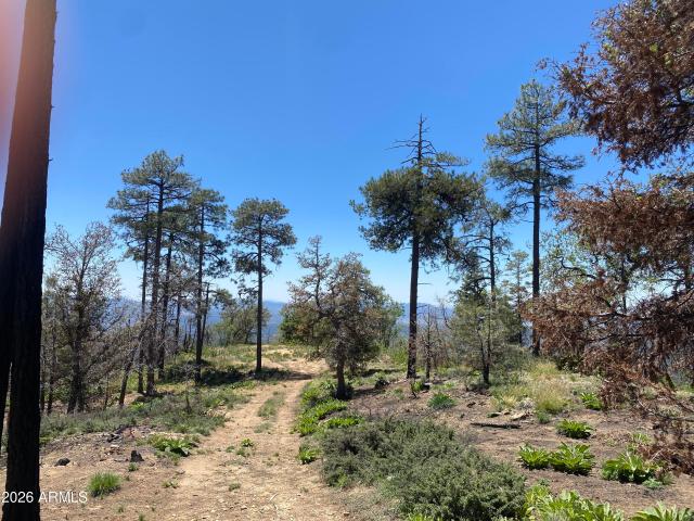1002 S turkey trot Trail #