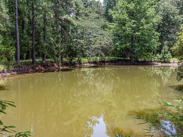 1002 Willson Road