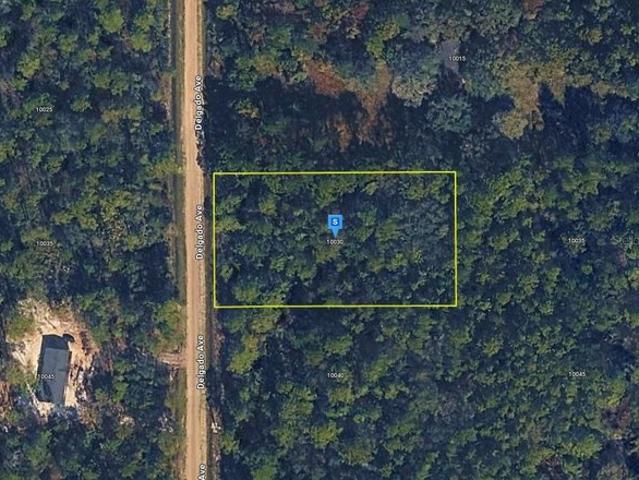 10030 Delgado Ave, Hastings, FL 32145