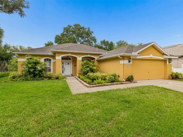 10035 Remington Dr, Riverview, FL 33578