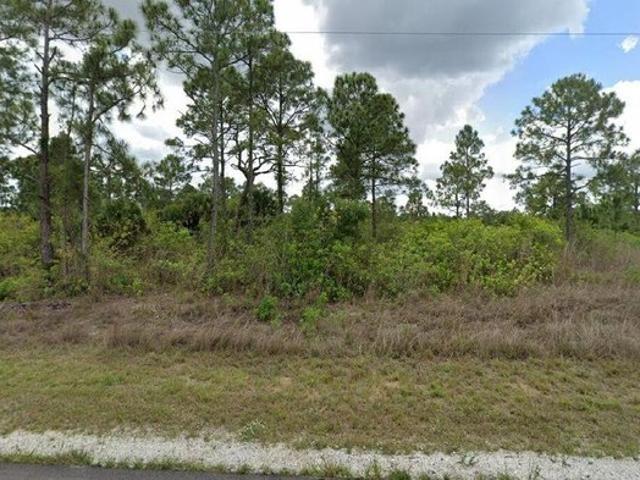 1003 Hines Ave, Alva, FL 33920
