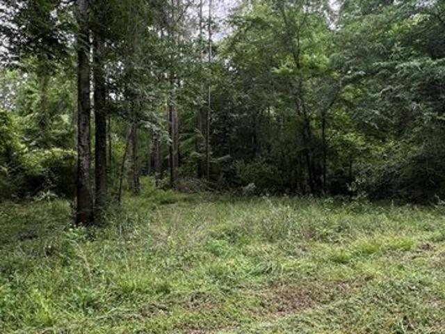 1003 Shady Ln, Jasper, TX 75951