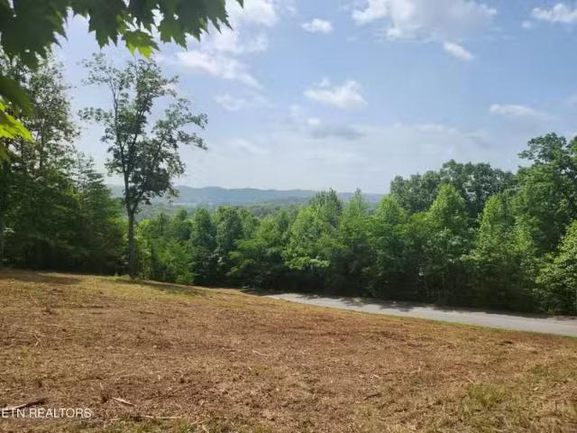 1003 SHEERWATER RD, KINGSTON, TN 37763 Vacant Land For Sale M.