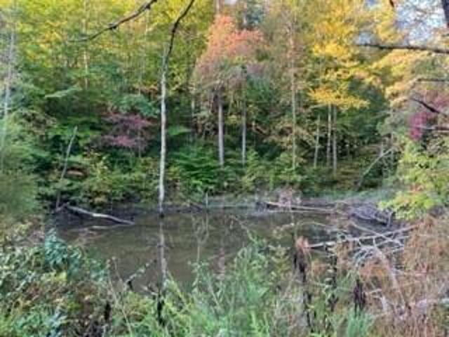 1003 Wilber Hill Road