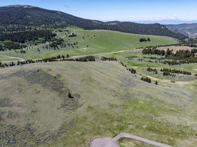 100 Cougar Trl, Townsend, MT 59645
