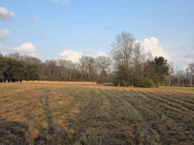 100 Credeur Rd, Scott, LA 70583 | Compass
