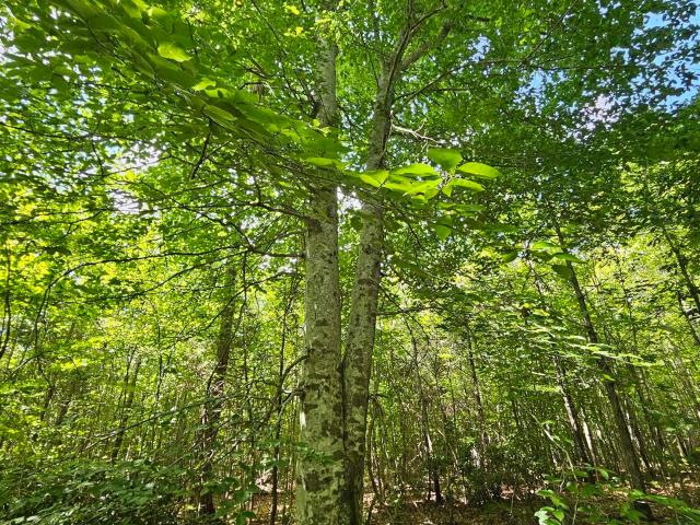 100 ac james anderson hwy w