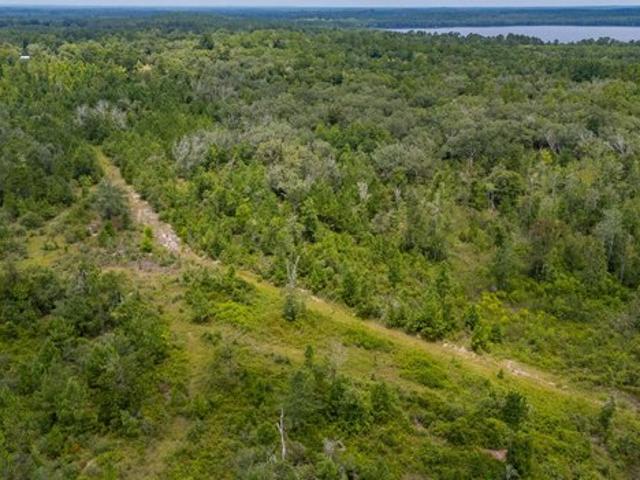 100 Acre Union Hill Rd, Vernon, FL 32462