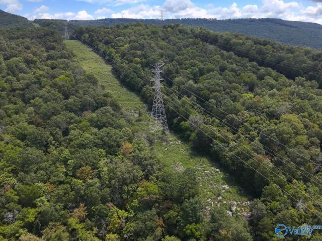 100 Acres County Road 91