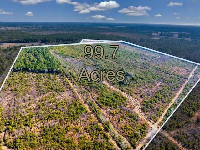 100 Acres Fifteen Mile Bay Rd, Nichols, SC 29581