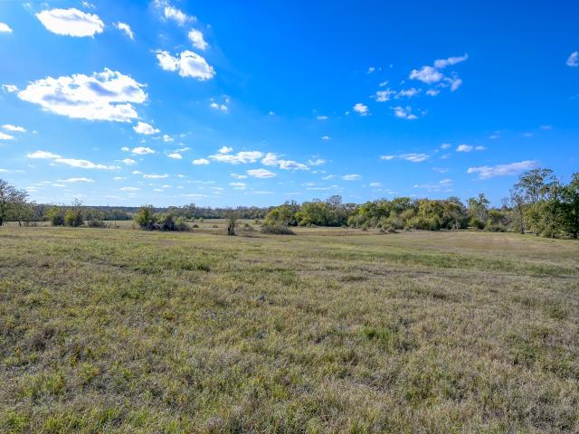 100 ACRES Spring Branch Road