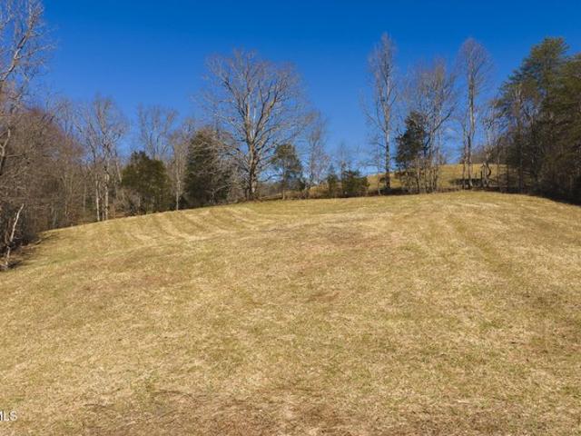 100 Acres Sutton Hollow Rd, Sneedville, TN 37869