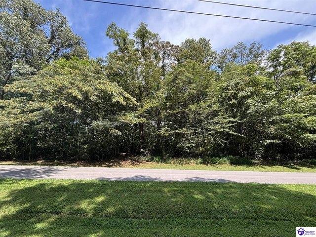 100 Barwater Rd, Brandenburg, KY 40108