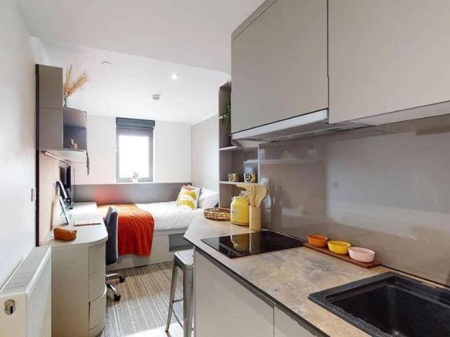 100 Bedroom Shared Living/roommate London London 90563886