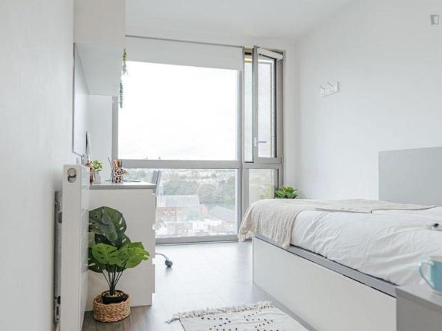 100 Bedroom Shared Living/roommate London London LS90563924