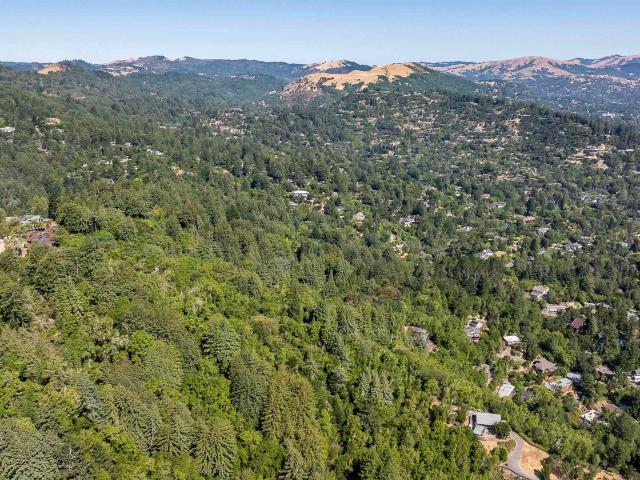 100 Black Log Rd, Kentfield, CA 94904 | MLS #41141