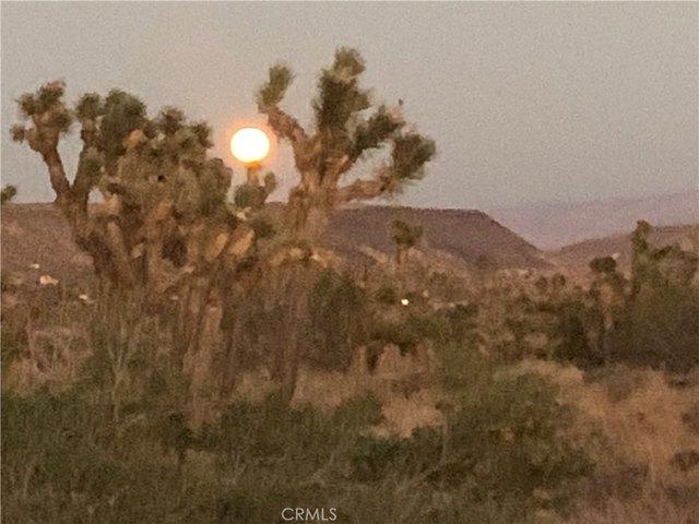 100 Gods Way Love Rd, Pioneertown, CA 92268