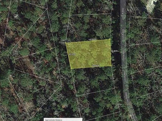 100 Deergrass Dr, Brookeland, TX 75931