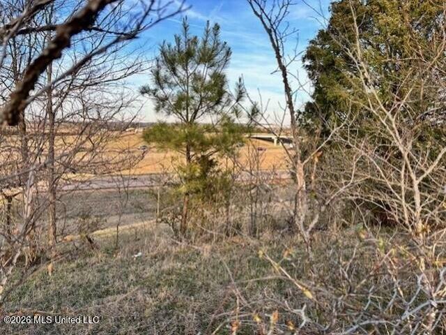 100 Dempsey Dr Lot 19, Byhalia, MS 38611
