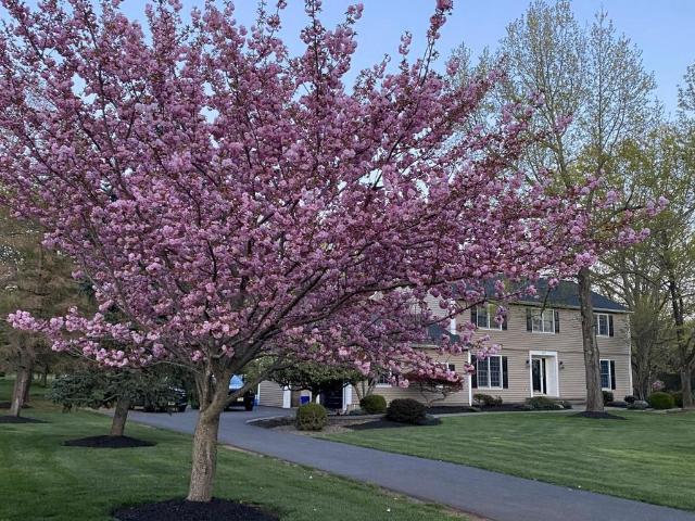 100 Knickerbocker Drive