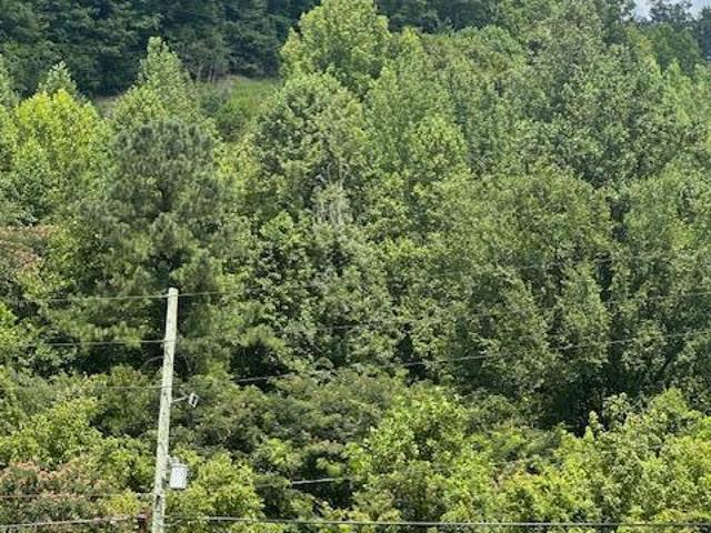 100 Knot Hole Rd