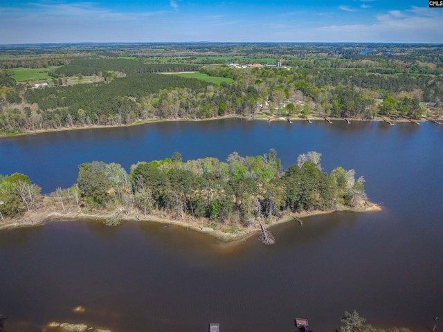 100 Harbors End Dr, Saluda, SC 29138