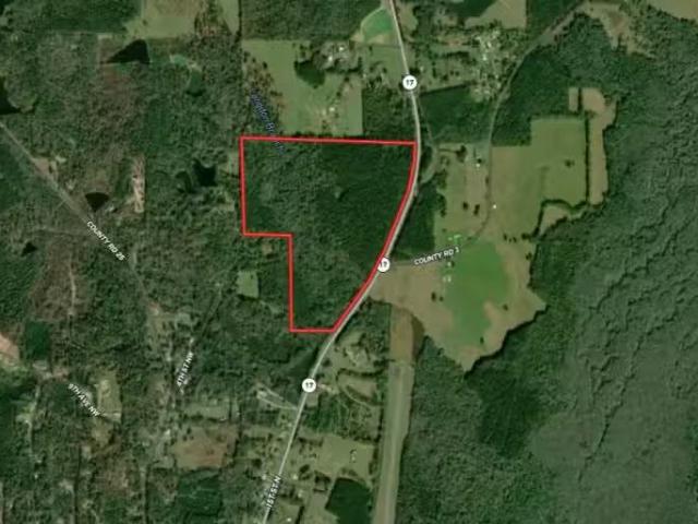 100 HWY 17, REFORM, AL 35481