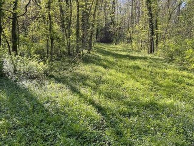 100 Jabin Farm Rd, Wright City, MO 63390
