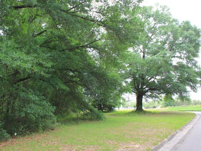 100 Oak Bluff Drive