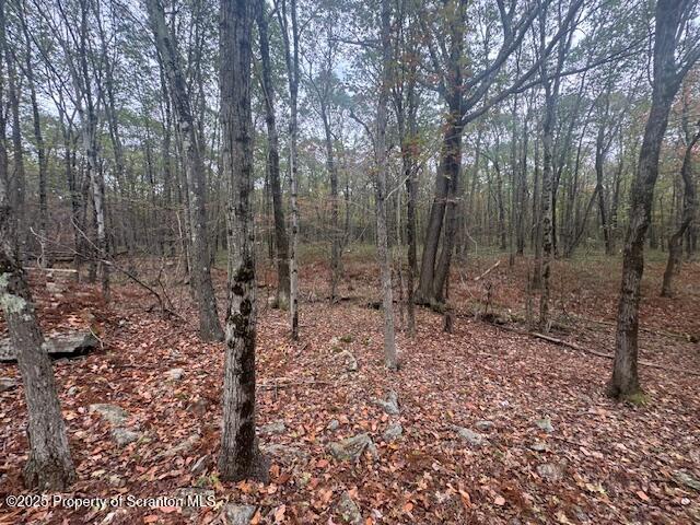 100 Laurel St, Carbondale, PA 18407 | MLS #SC255262 | Compass