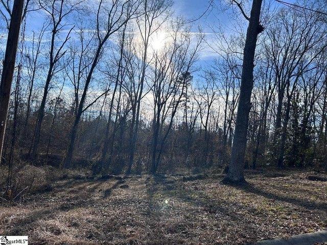 100 Lakeview Dr, Fountain Inn, SC 29644