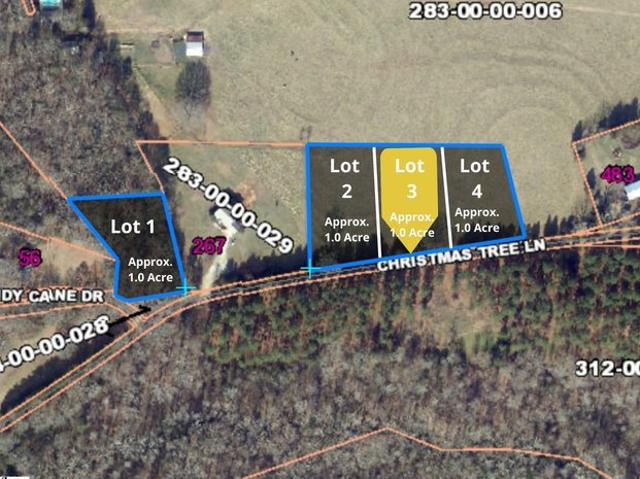 100 Living Waters Trl, Woodruff, SC 29388