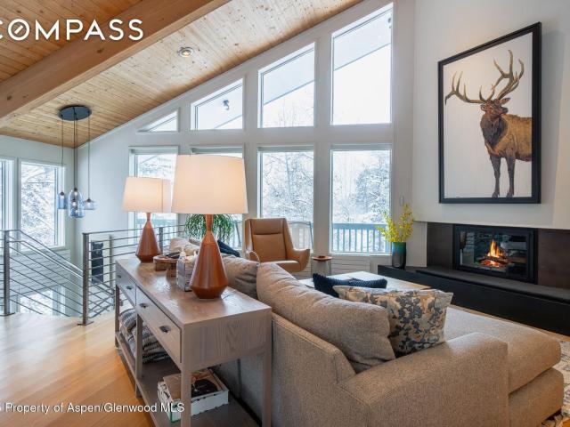 100 Mountain Laurel Ct, Aspen, CO