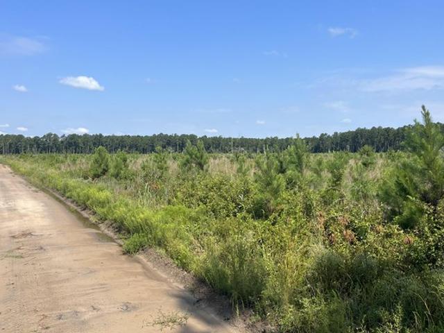 100 Mahogany Ln, Orangeburg, SC 29115