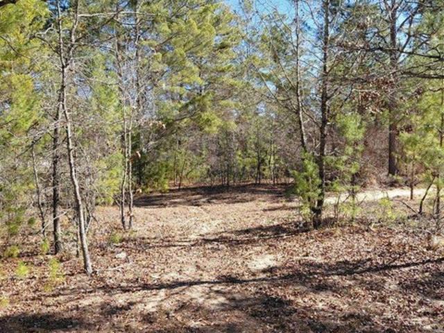 100 Sparrow Dr, Box Springs, GA 31801