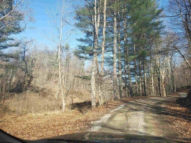 100 Steve Rosier Road Zion Rd Lot Mount, Parsons, WV 26287